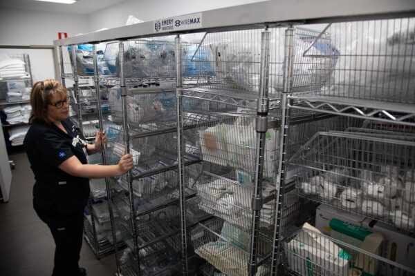 Optimising Ward Space: Best Practices for Storage and Organisation ...